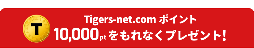 タイガースネット光｜タイガースネット.コム（Tigers-net.com）｜阪神タイガース公認インターネットプロバイダ
